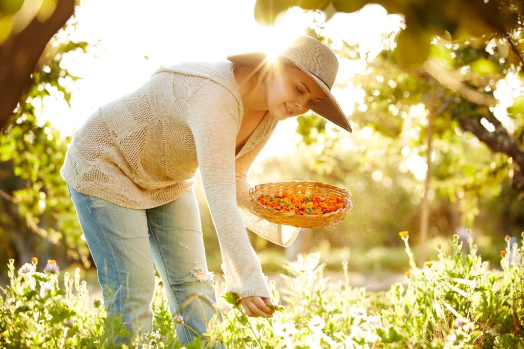 The Power Of Whole Plants: An Interview With Laurel Shaffer - Maison Pur