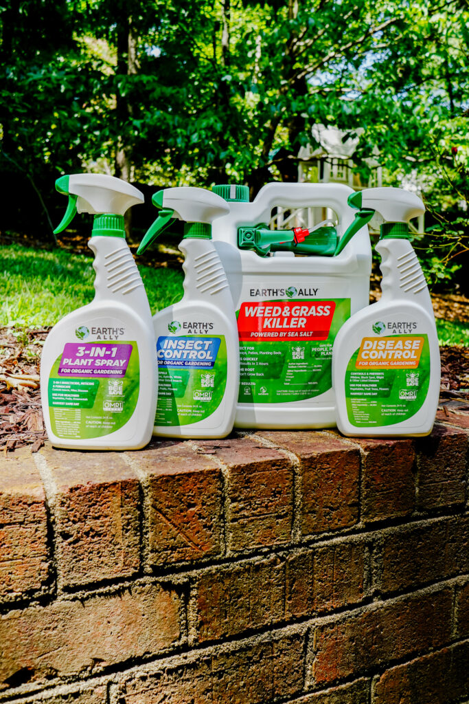 How To Create A Bee-Friendly Backyard To Protect Pollinators - Maison Pur