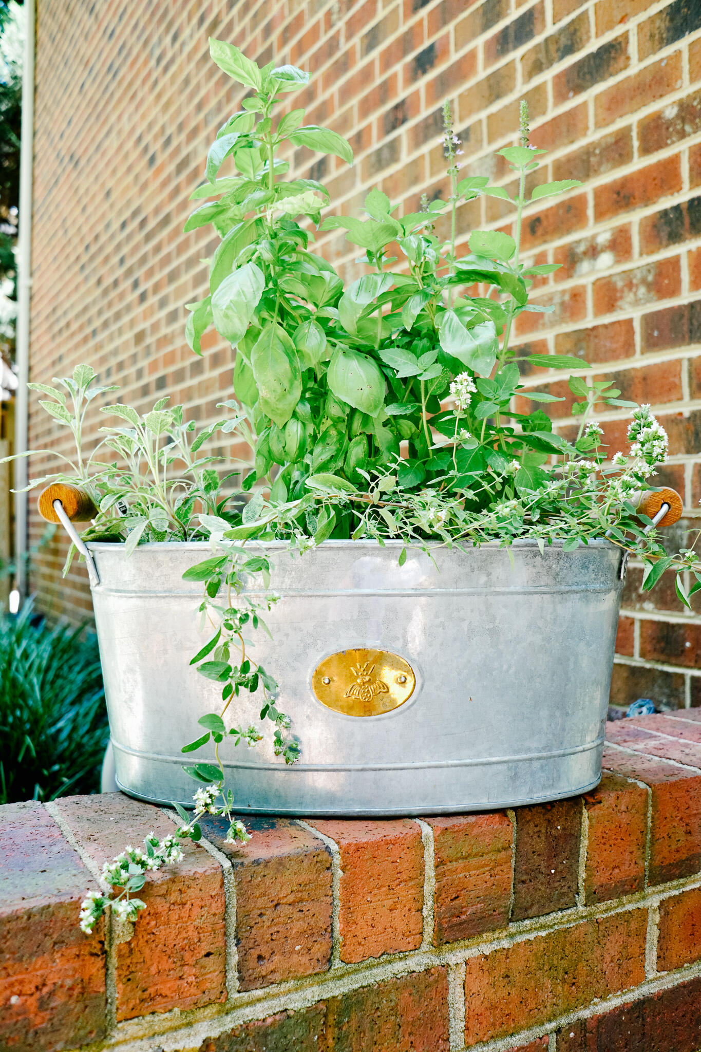 How To Create A Bee-Friendly Backyard To Protect Pollinators - Maison Pur