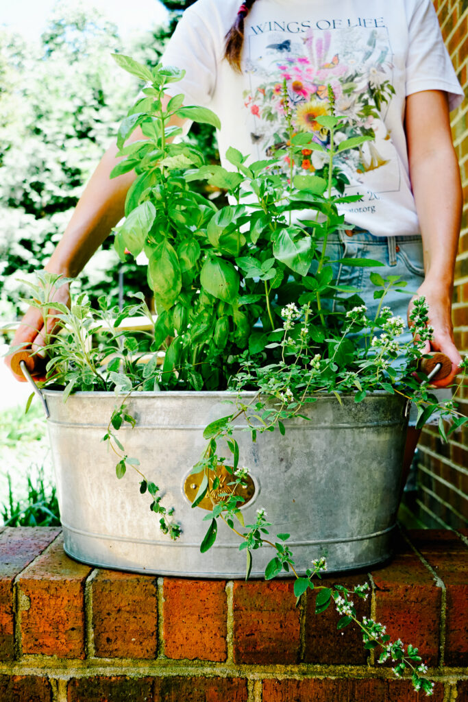 How To Create A Bee-Friendly Backyard To Protect Pollinators - Maison Pur