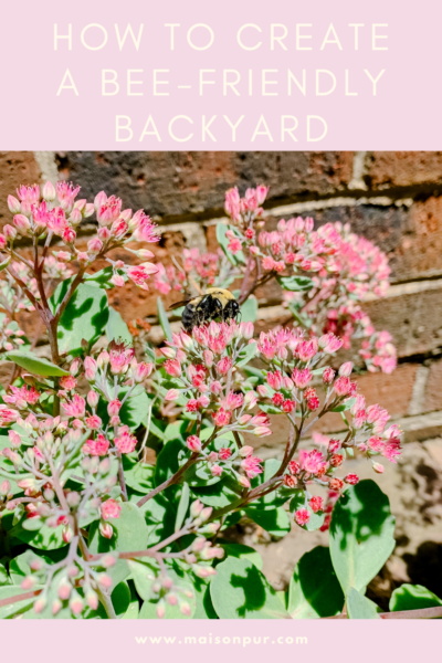 How To Create A Bee-Friendly Backyard To Protect Pollinators - Maison Pur